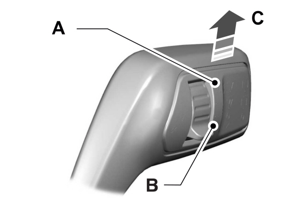 Image Shown Without Description