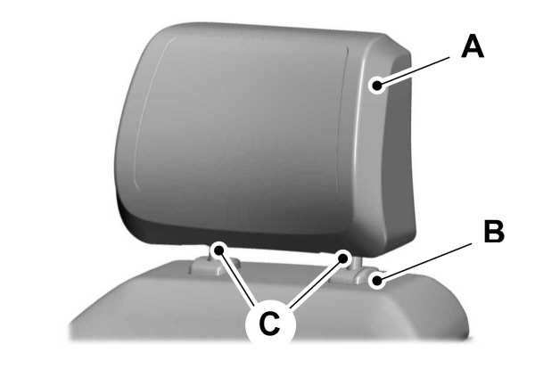 Image Shown Without Description