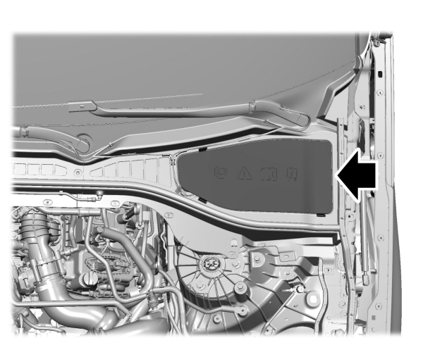Image Shown Without Description