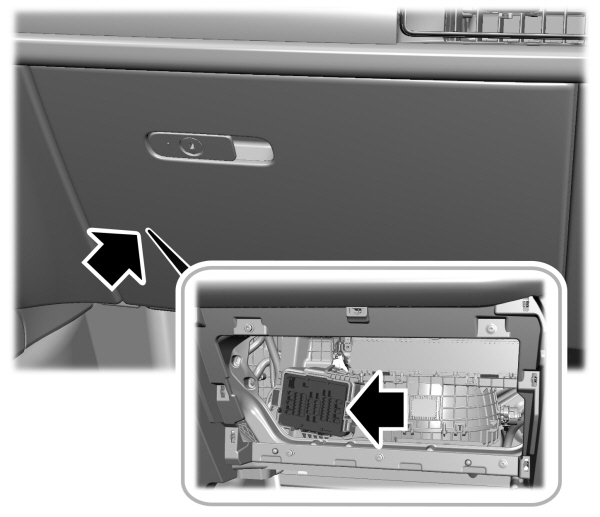 Image Shown Without Description