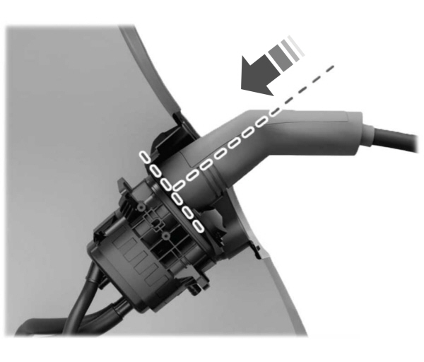 Image Shown Without Description