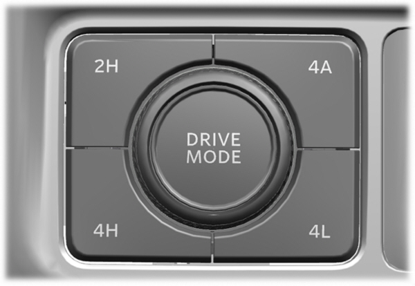 Image Shown Without Description