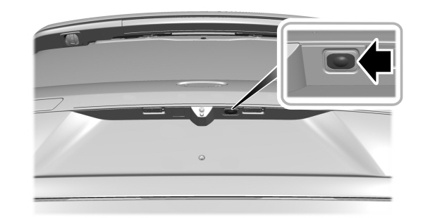 Image Shown Without Description