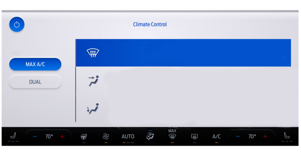 Image Shown Without Description