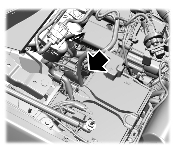 Image Shown Without Description