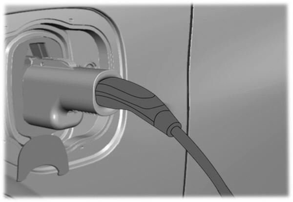 Image Shown Without Description