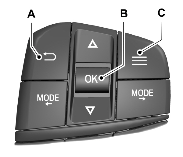 Image Shown Without Description