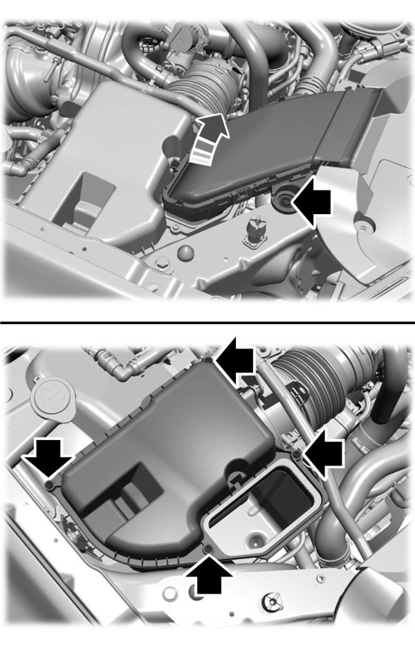 Image Shown Without Description