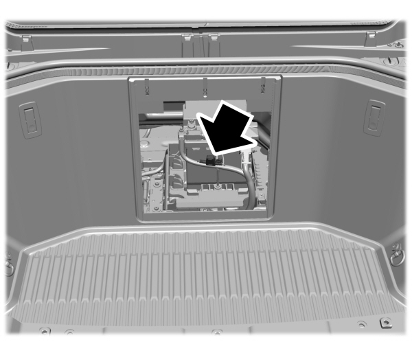 Image Shown Without Description