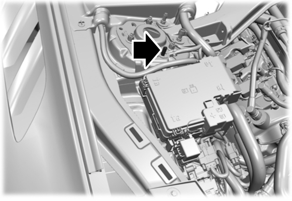 Image Shown Without Description