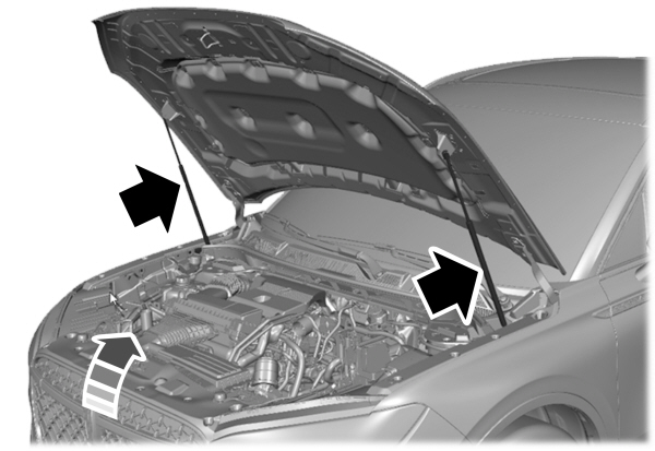 Image Shown Without Description