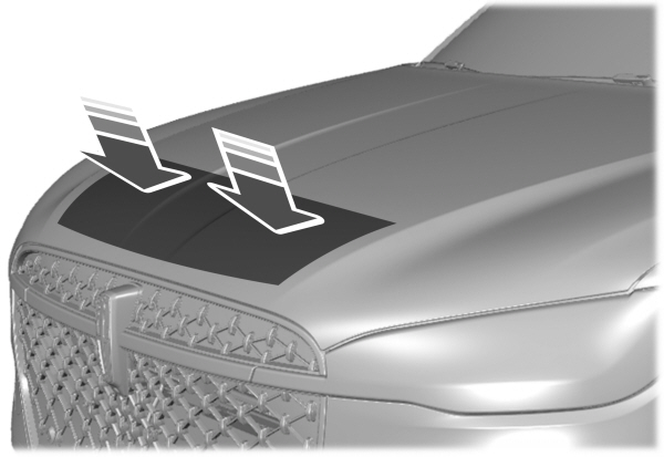 Image Shown Without Description