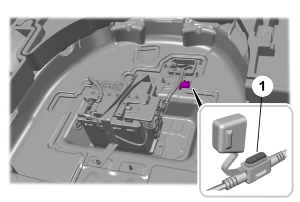 Image Shown Without Description