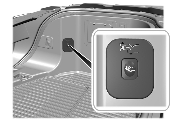 Image Shown Without Description