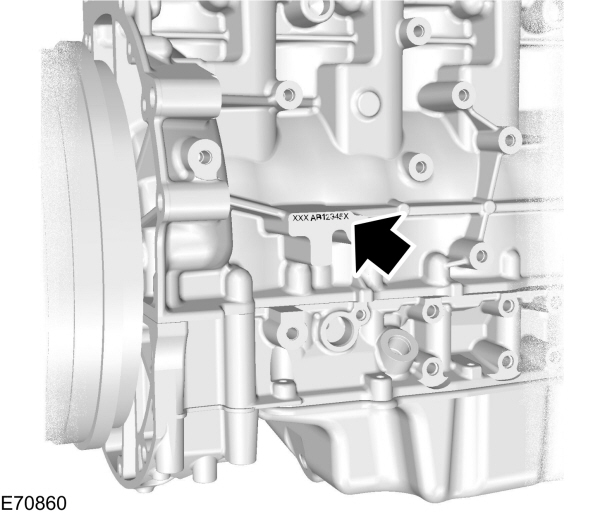 Image Shown Without Description