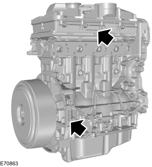 Image Shown Without Description