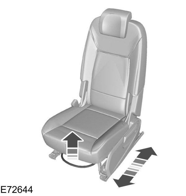 Image Shown Without Description