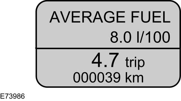 Image Shown Without Description