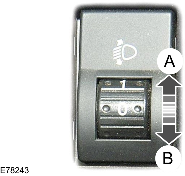 Image Shown Without Description