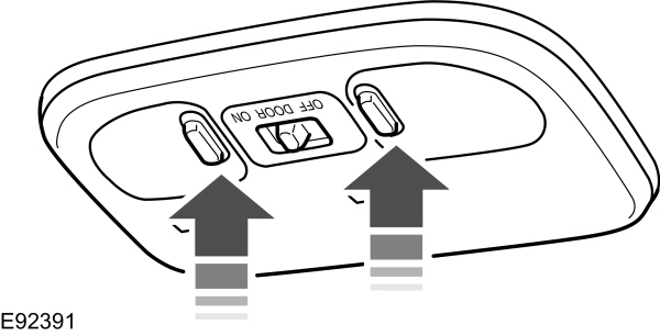 Image Shown Without Description